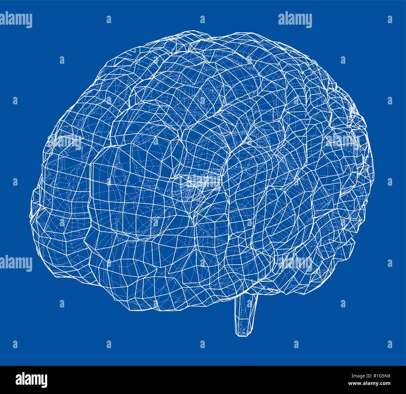 3D outline brain. Vector rendering of 3d Stock Vector Image & Art - Alamy