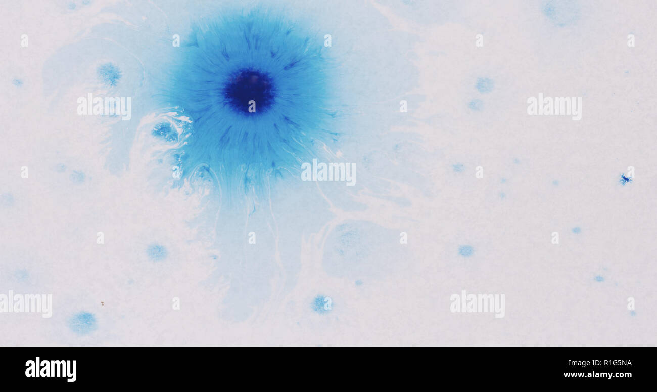 blue ink drops spreads on white wet paper, wide photo Stock Photo - Alamy