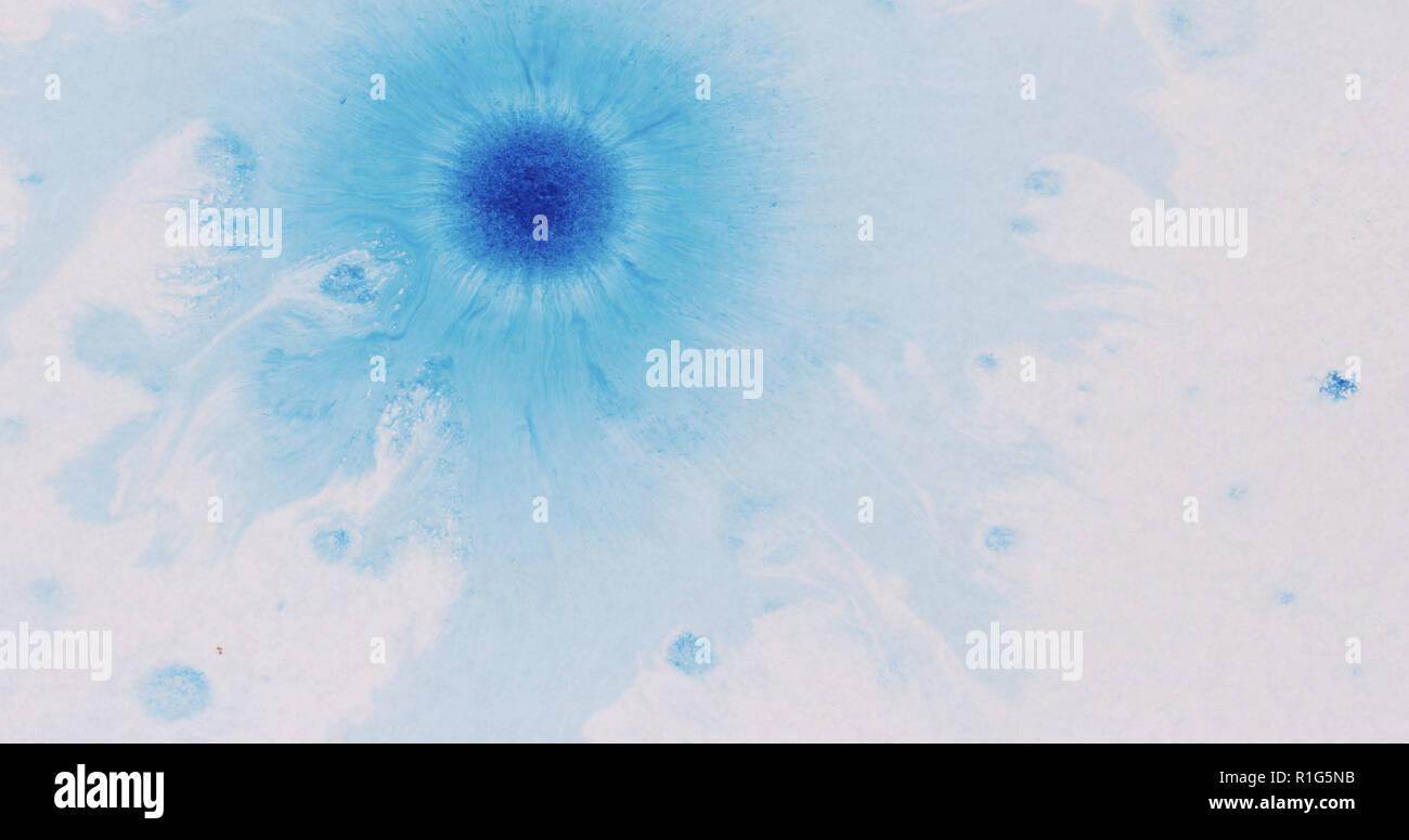 blue ink drops spreads on white wet paper, wide photo Stock Photo - Alamy