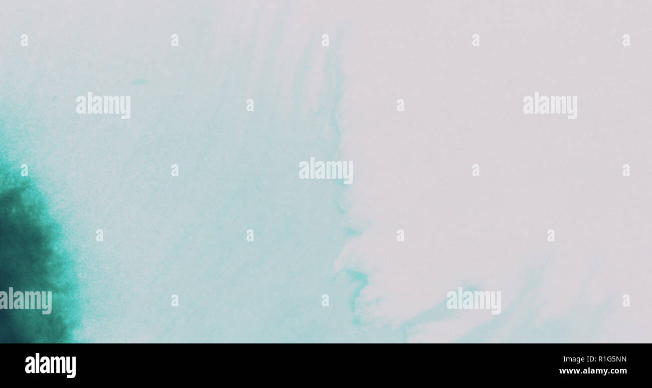 blue ink drops spreads on white wet paper, wide photo Stock Photo - Alamy