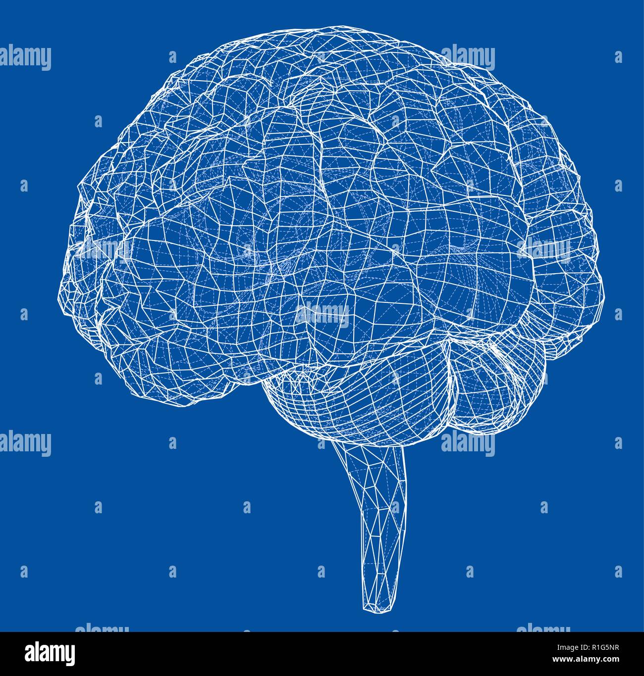 3D outline brain. Vector rendering of 3d Stock Vector Image & Art - Alamy