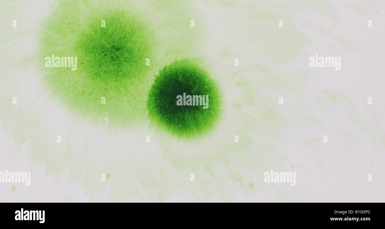 green ink drops spreads on white wet paper, wide photo Stock Photo - Alamy