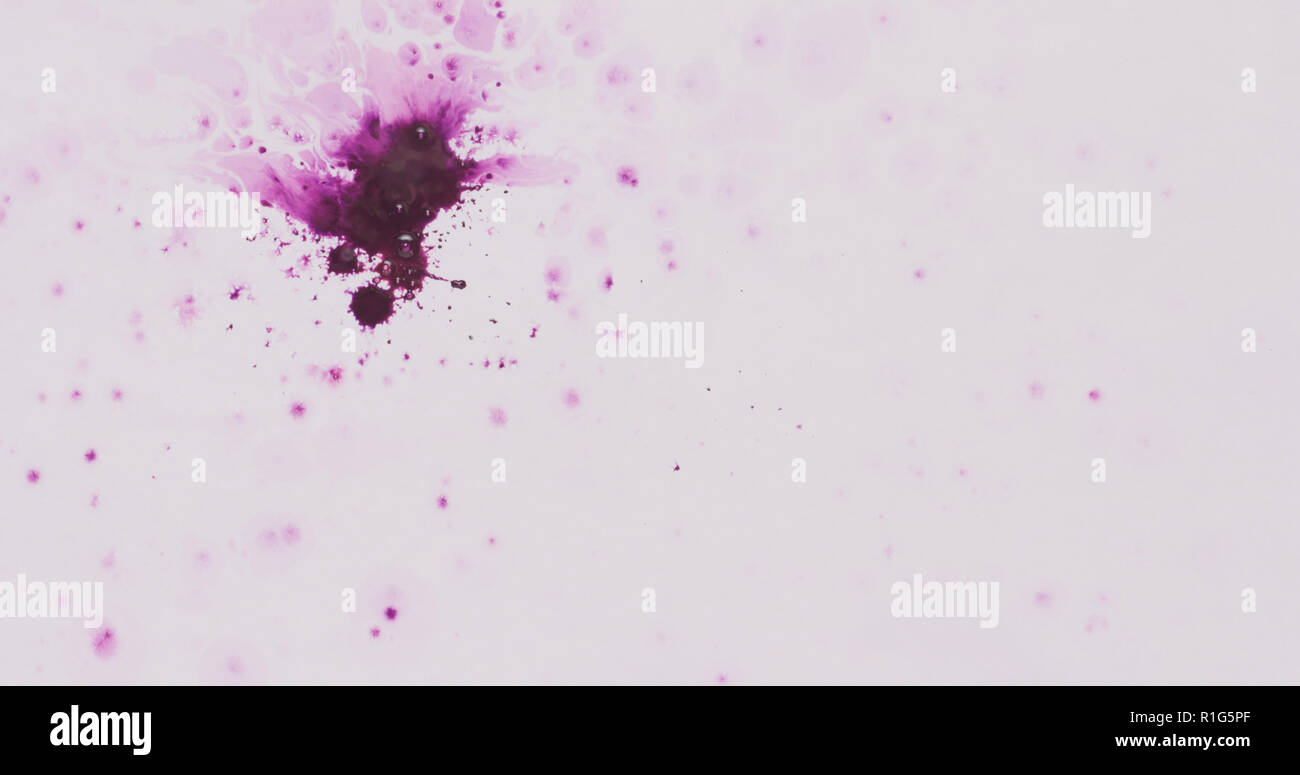 purple ink drops spreads on white wet paper, wide photo Stock Photo - Alamy