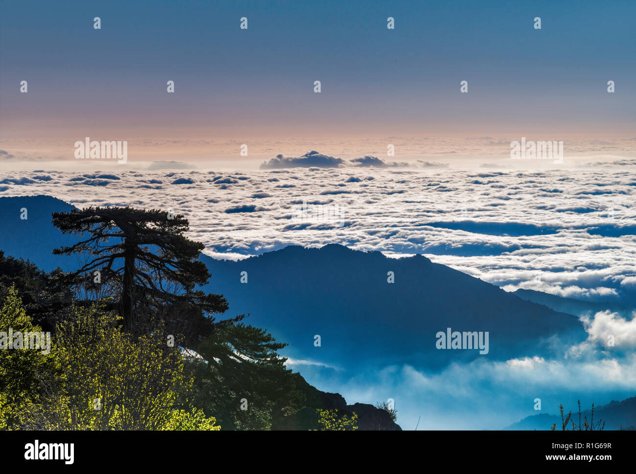 U fugone hi-res stock photography and images - Alamy