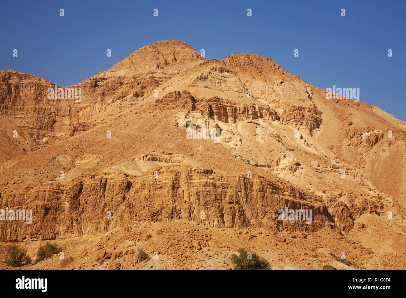Ein Gedi national park. Israel Stock Photo - Alamy