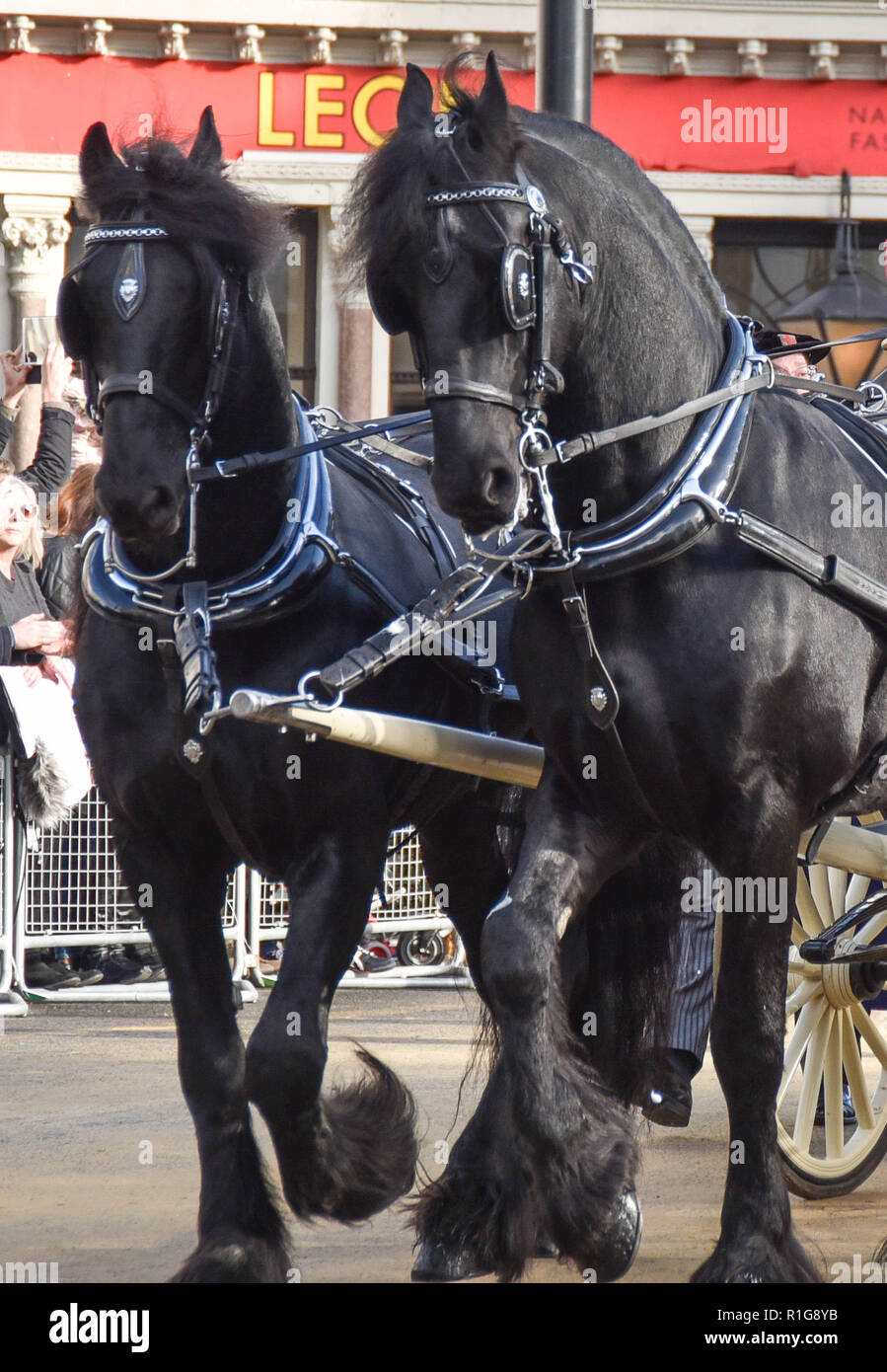 Pulling heavy wagon hi-res stock photography and images - Alamy