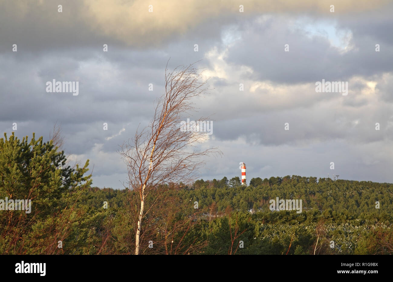 Nida nidden hi-res stock photography and images - Alamy