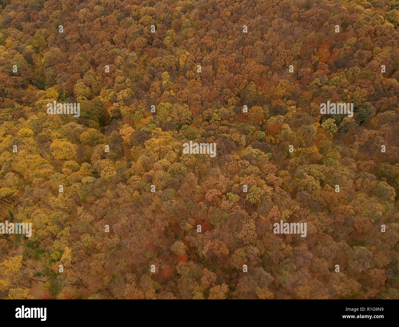 Aerial woodland fall hi-res stock photography and images - Alamy