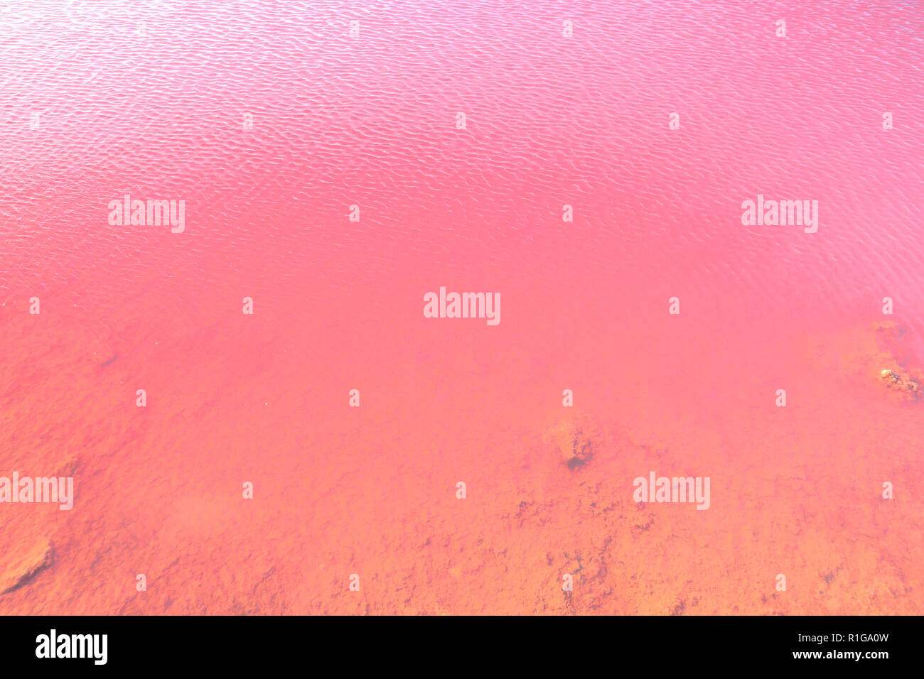 Pink lake australia hi-res stock photography and images - Alamy