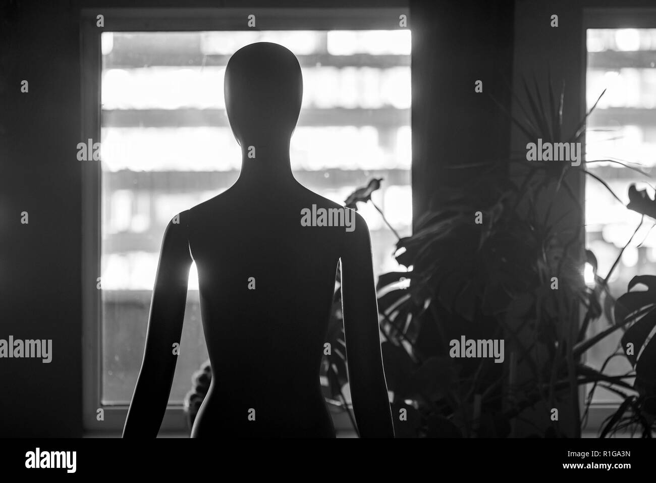 human female mannequin standing in the dark near the window Stock Photo ...