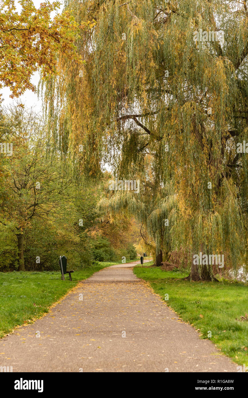 Gold nested light hi-res stock photography and images - Alamy