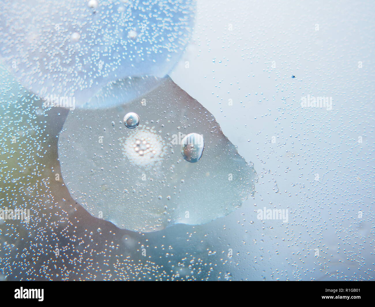 Abstract photography. Multi-colored circles. Drop of oil. Background ...