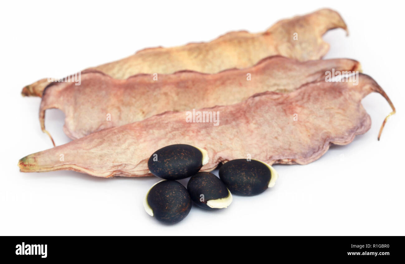 Dry hyacinth bean over white background Stock Photo - Alamy