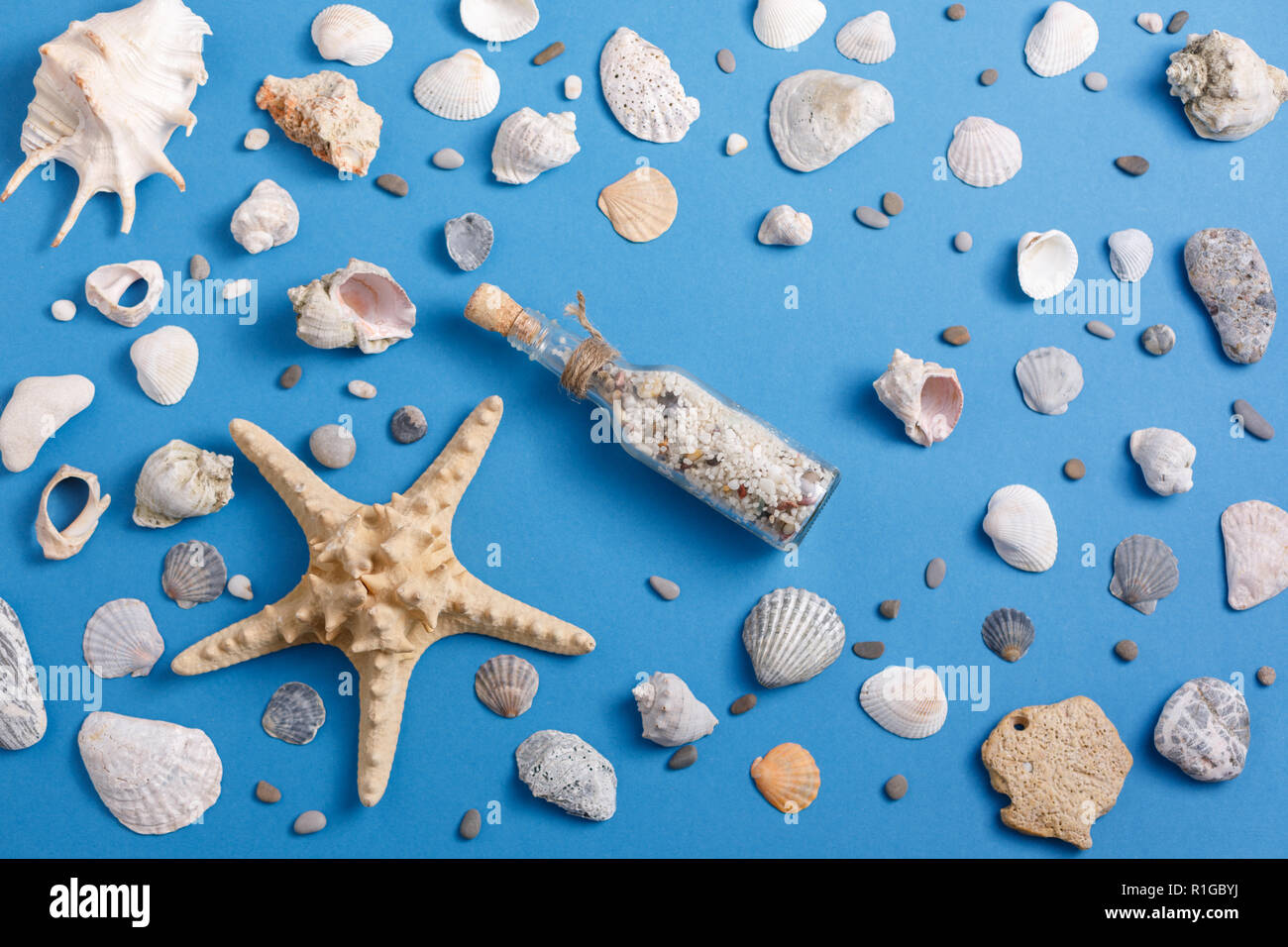A collection of seashells on a blue background. Concept of flat lay ...