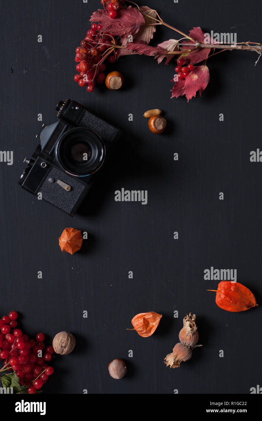 old camera on the table red and yellow autumn leaves Stock Photo - Alamy