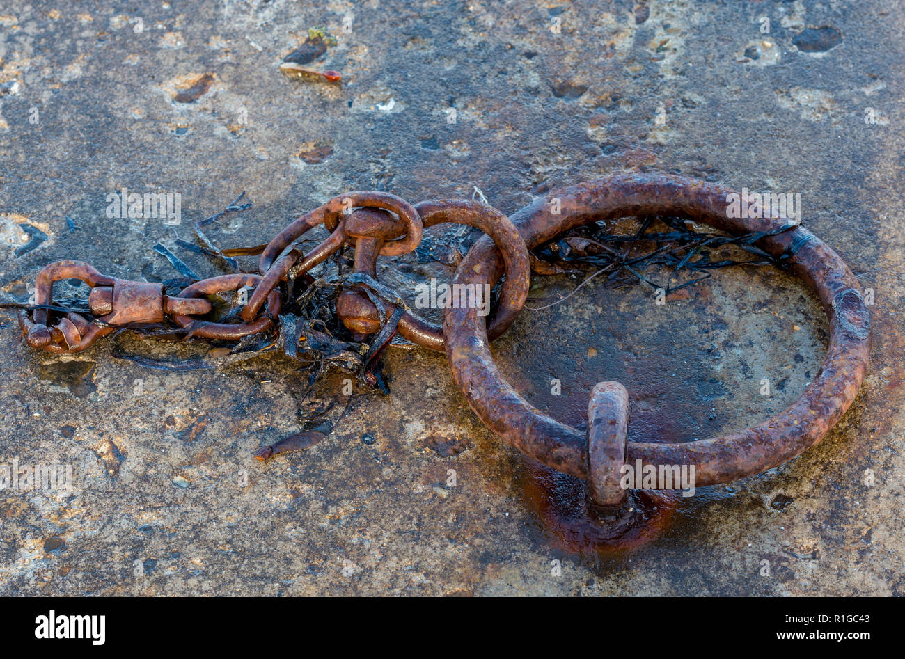 old rusty corroded metal mooring chain and metal ring on a dockside or ...