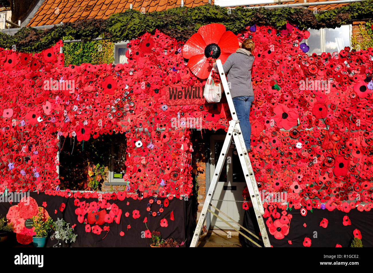 Display of knitted poppies hi-res stock photography and images - Alamy
