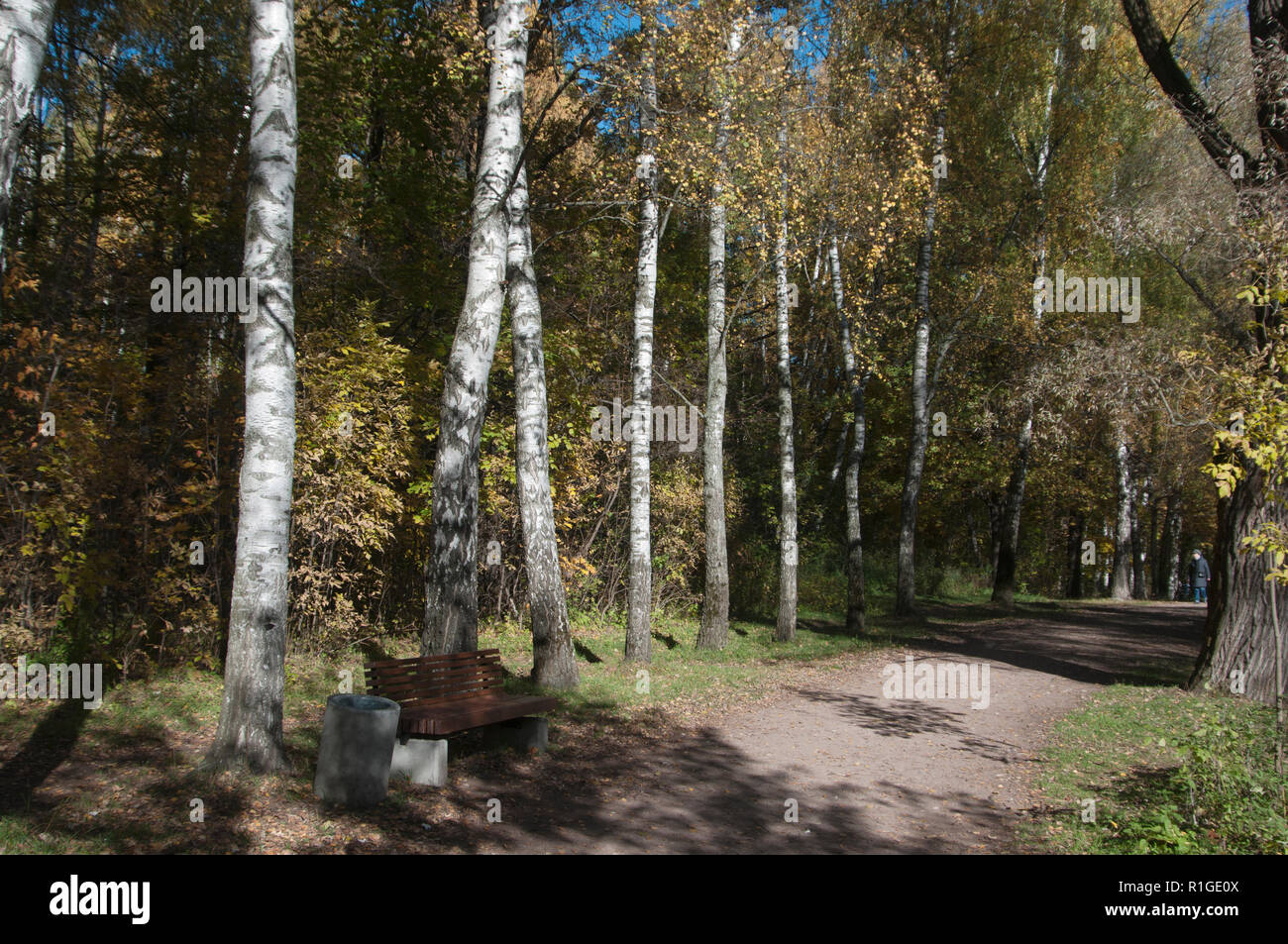 Autumn landscape in Sokolniki park in Moscow, Russia Stock Photo - Alamy