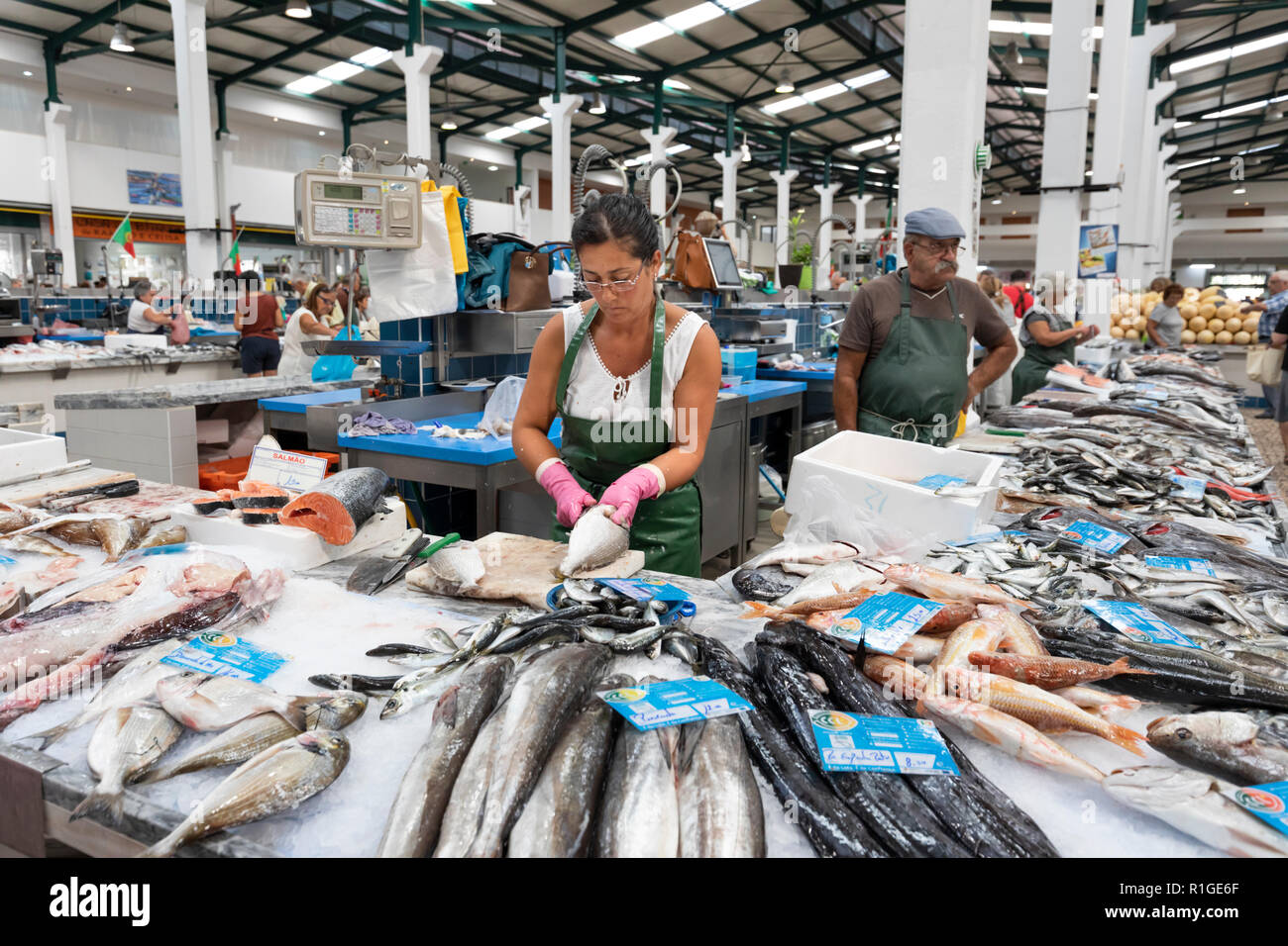 Fresh fish stall inside the Mercado do Livramento taken in the morning ...
