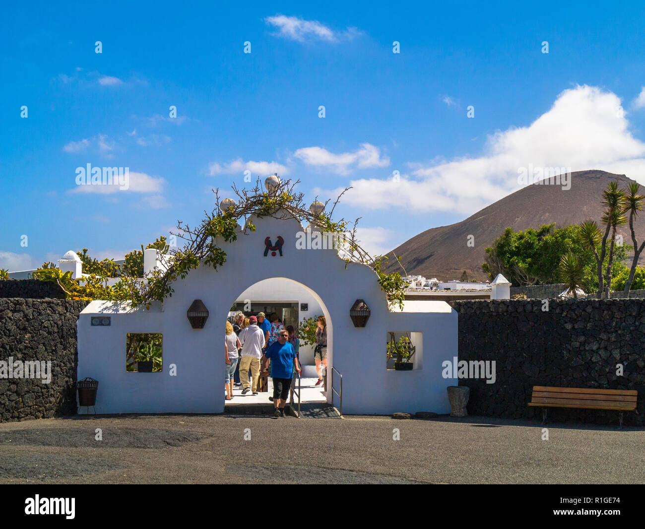 Taro de tahiche hi-res stock photography and images - Alamy