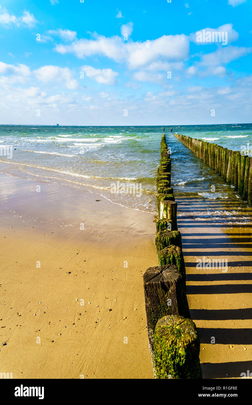 Wooden Posts of a beach erosion protection system along the beach at ...