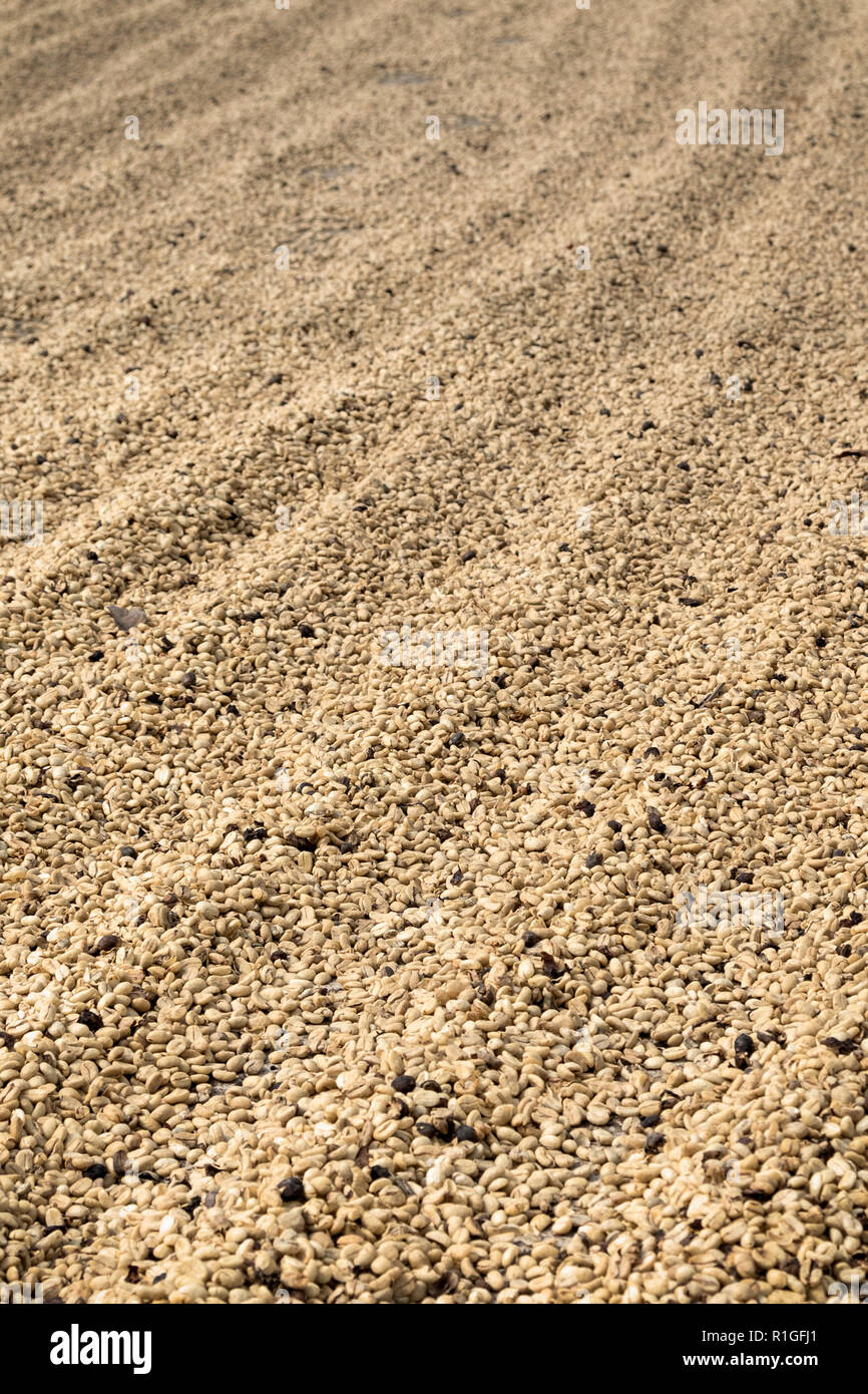 Sun drying grains hi-res stock photography and images - Alamy