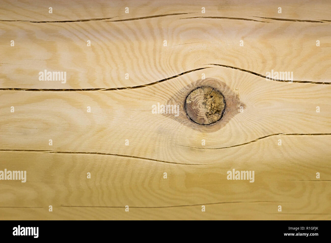 Wooden log with knot Stock Photo - Alamy