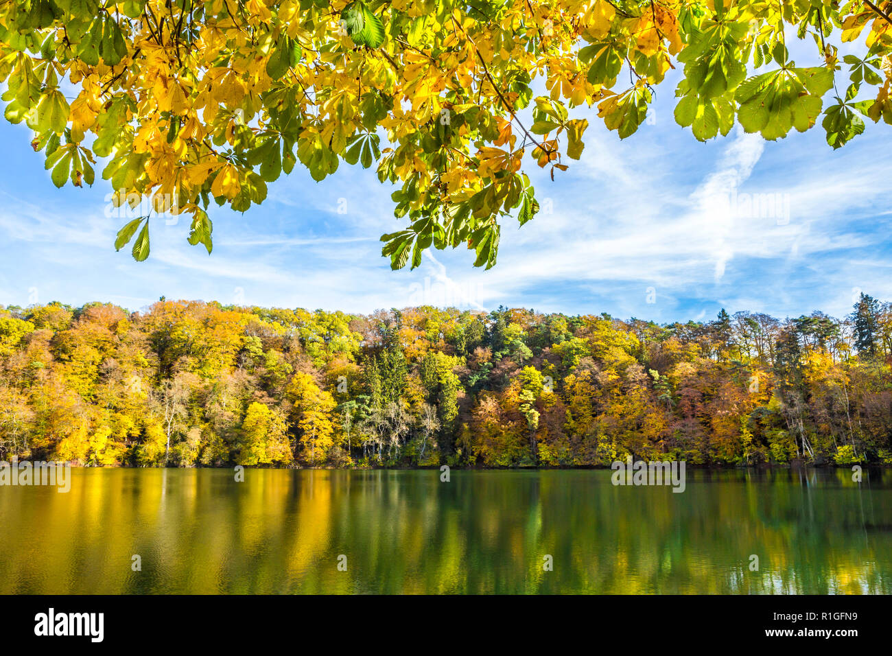 Trees in autumn and reflection in lake, Ulmen Maar, Ulmen, West Eifel ...