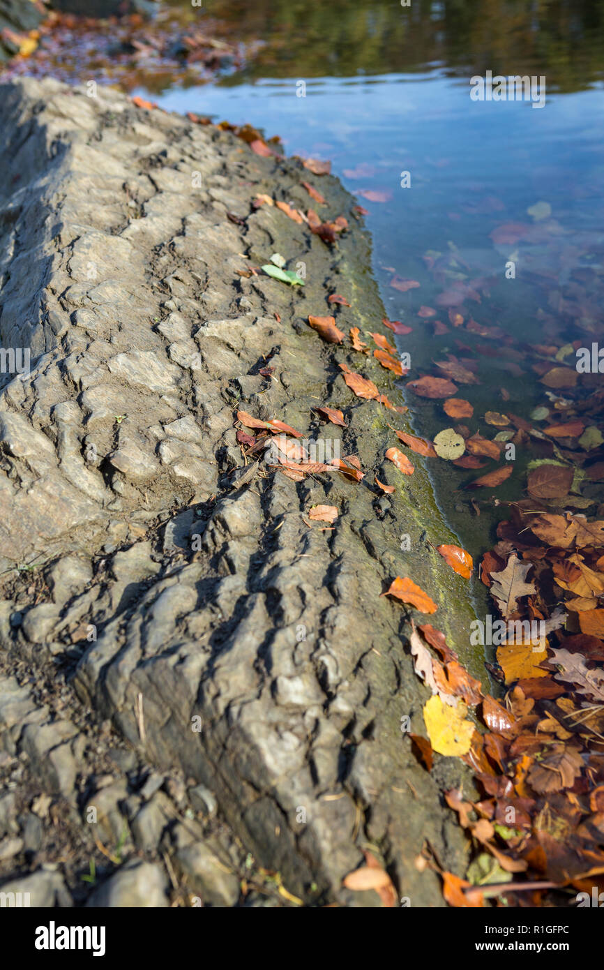Autumn scene of volcanic rocks in lake, Ulmen Maar, Ulmen, West Eifel ...