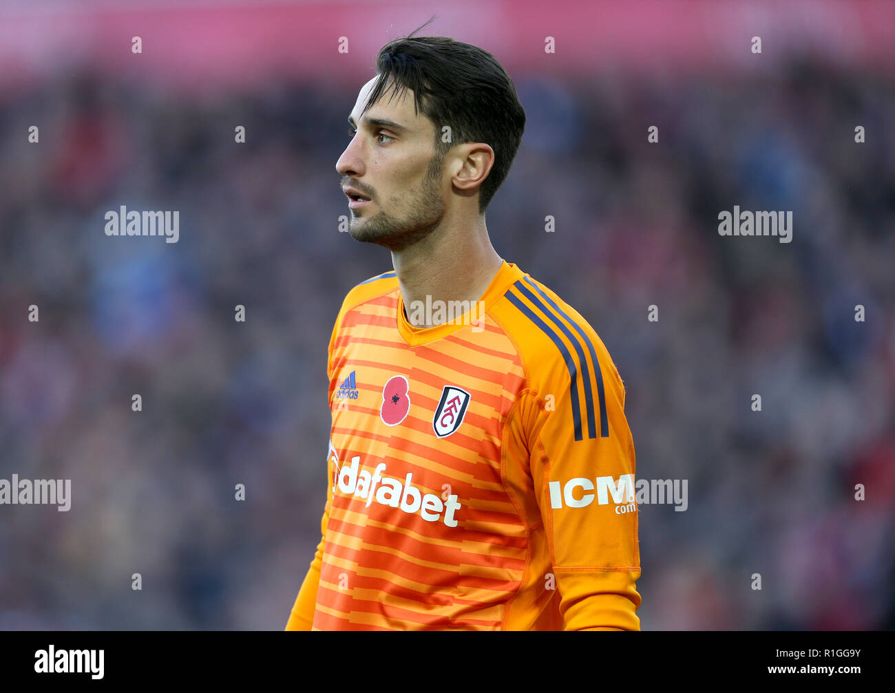 Fulham goalkeeper Sergio Rico Stock Photo - Alamy