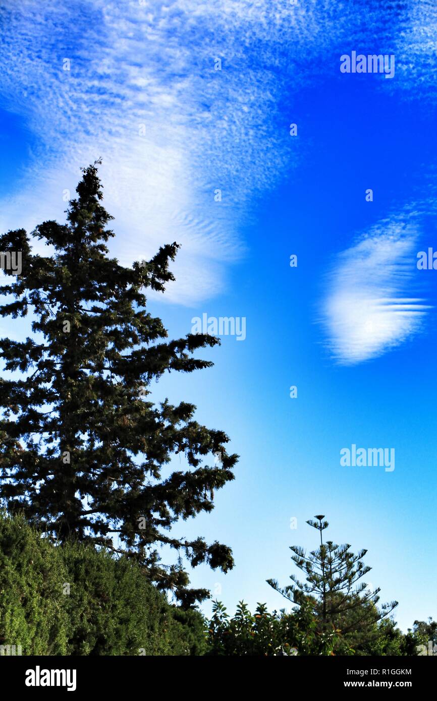 Autocumulus hi-res stock photography and images - Alamy