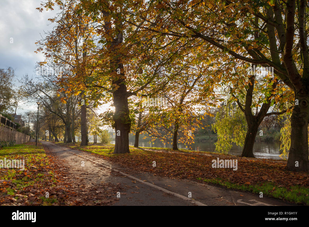 an Autumn view of the New Walk, a Georgian promenade beside the River ...