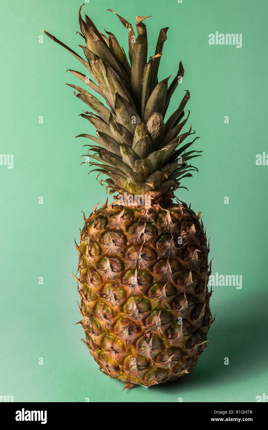 Front view of the ripe pineapple fruit over pastel colored background ...
