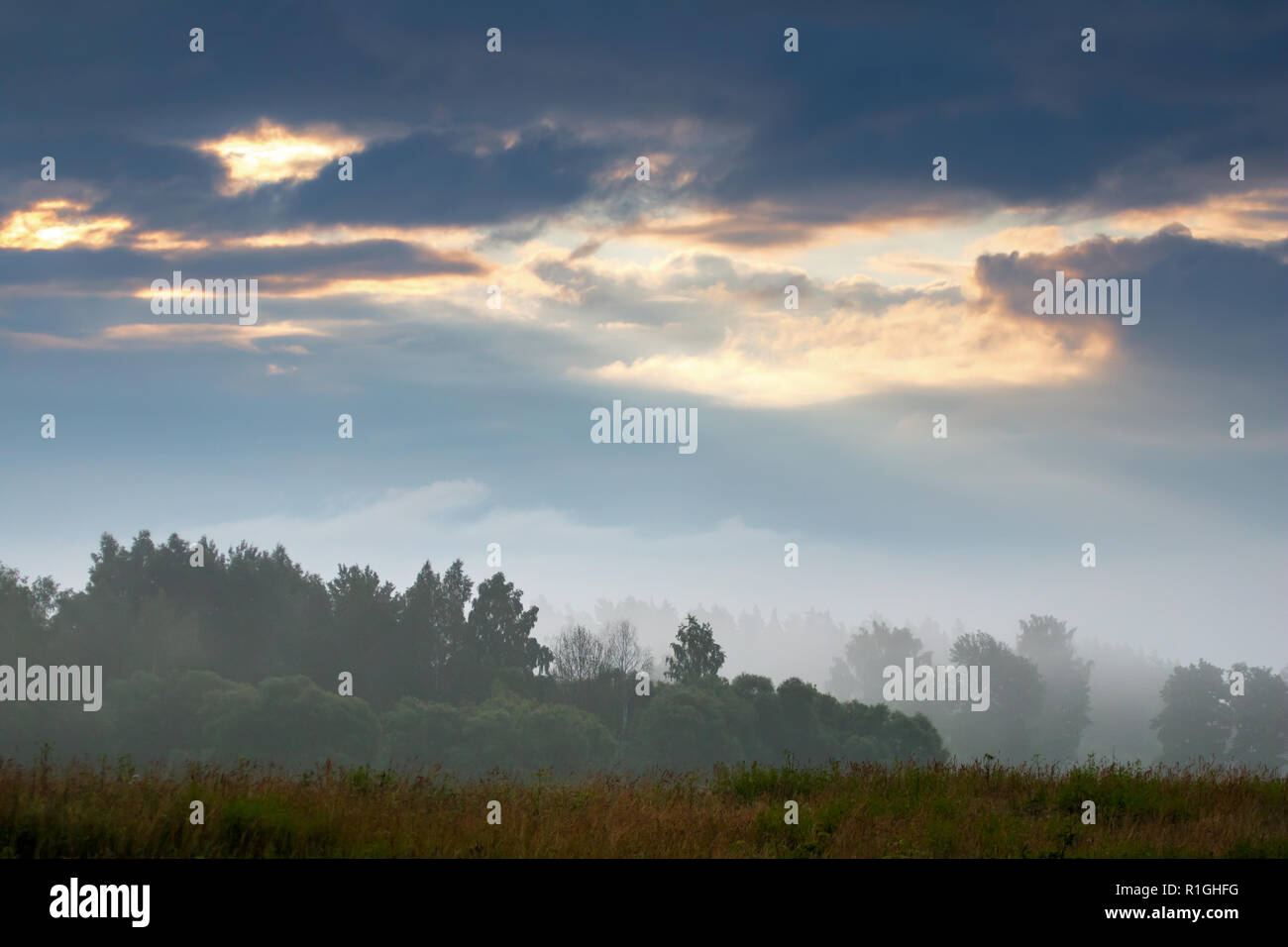 Beautiful landscape with mist. Summer beautiful idyllic landscape in ...
