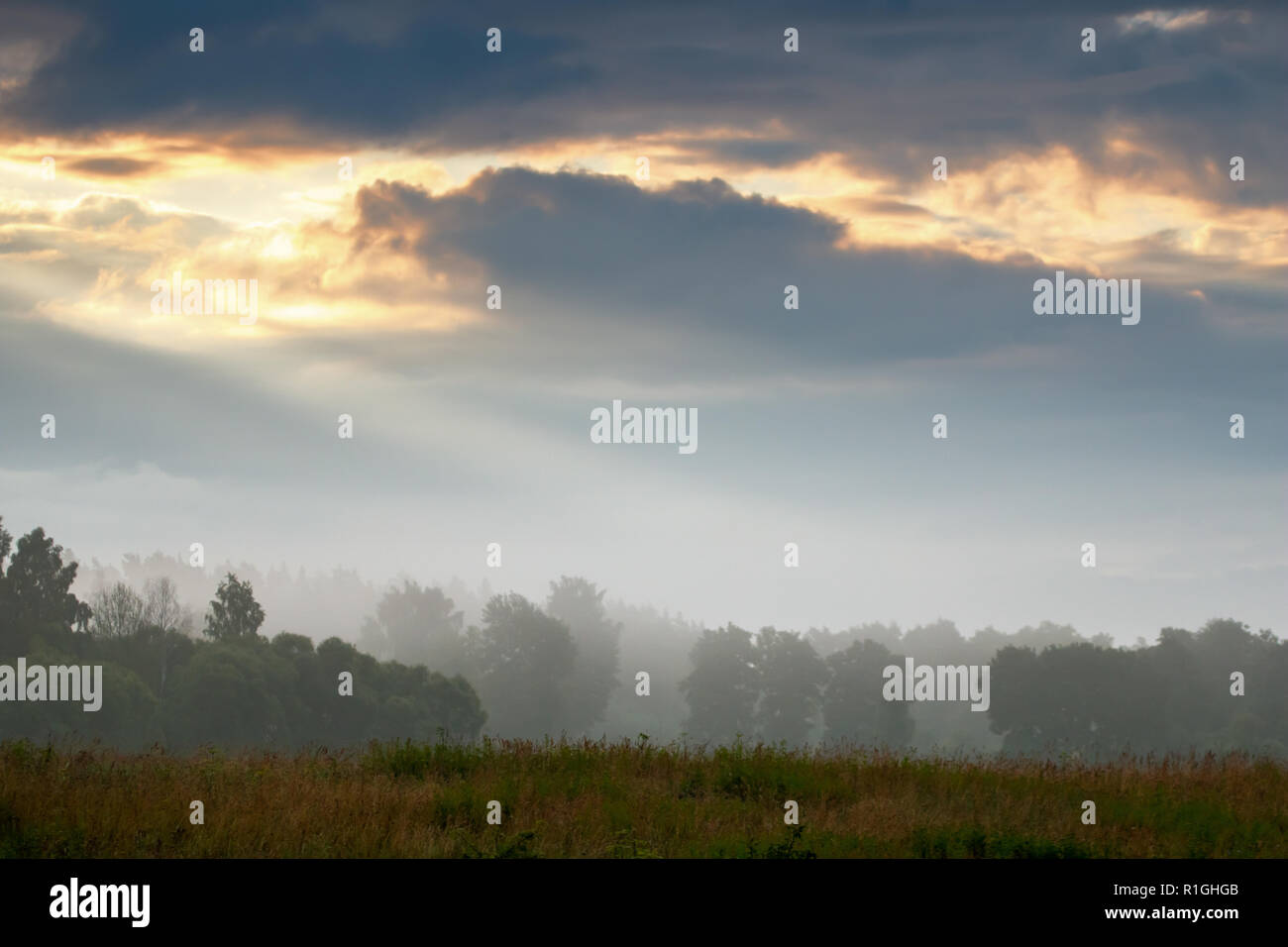 Beautiful landscape with mist. Summer beautiful idyllic landscape in ...