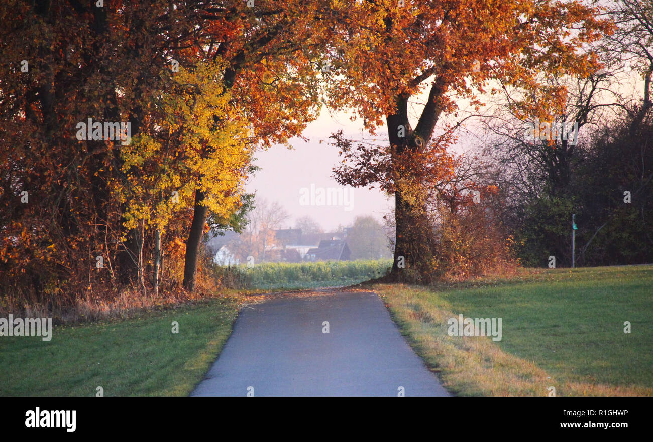 Rural landscape scene hi-res stock photography and images - Alamy