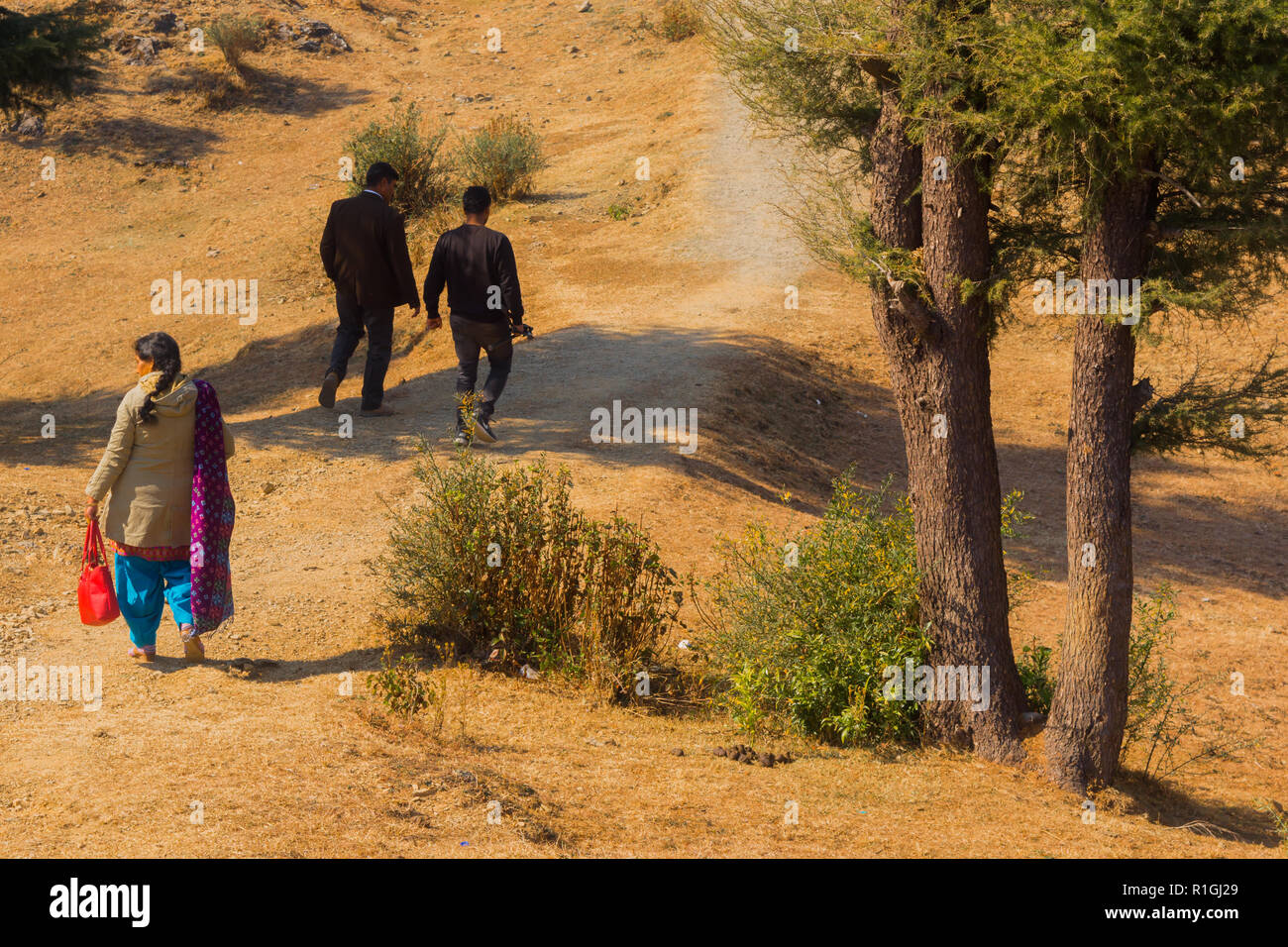 Picture of an indian family taking a stroll at a hilltop among trees ...