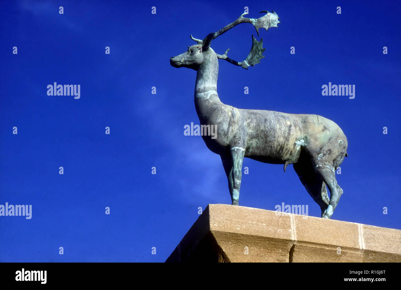 Greece, Dodecanese Islands. Rhodes Mandraki harbour. Close up of the ...