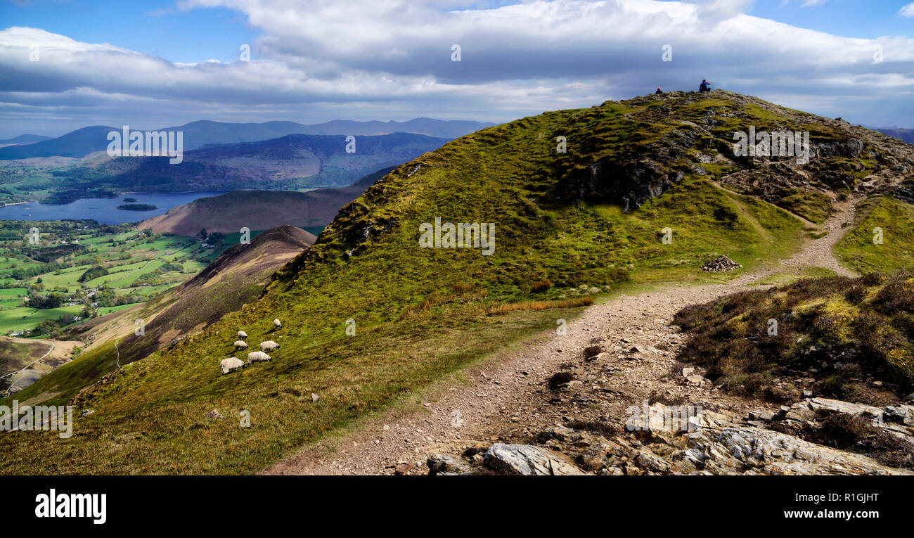 On Causey Pike. The Coledale Round, Cumbria, England Stock Photo - Alamy