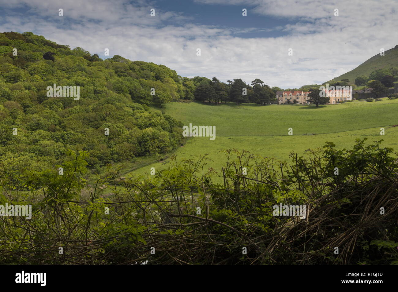 Lee abbey hi-res stock photography and images - Alamy