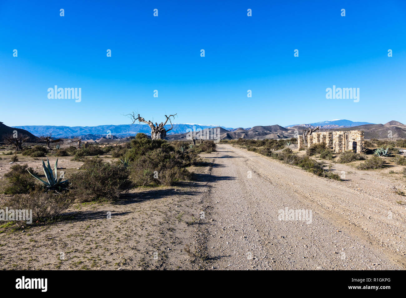 Tabernas hi-res stock photography and images - Alamy