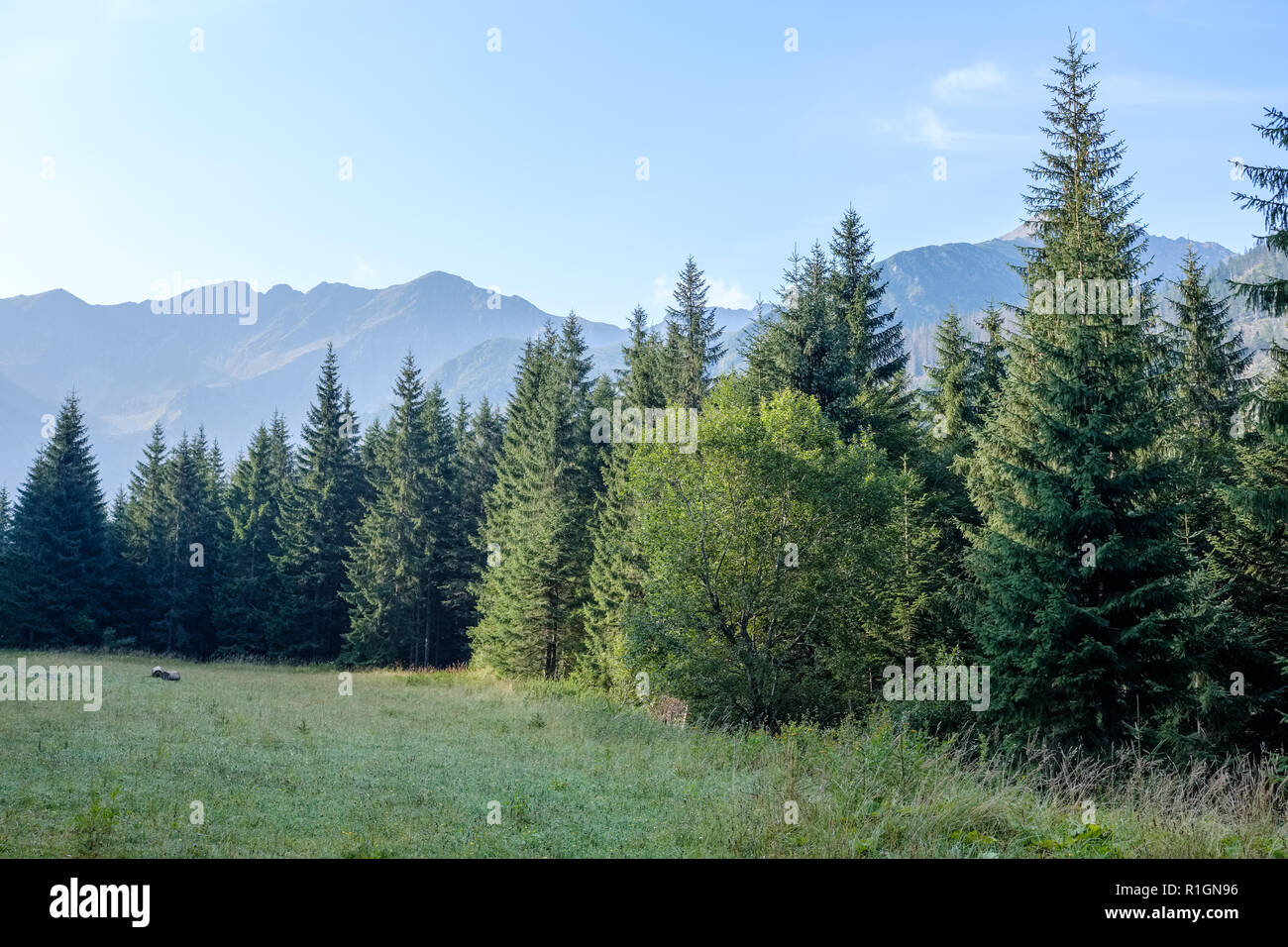 western carpathian Tatra mountain skyline with green fields and forests ...