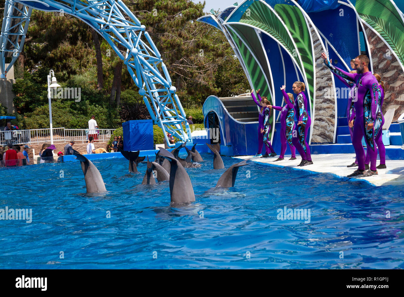 Dolphin seaworld hi-res stock photography and images - Alamy