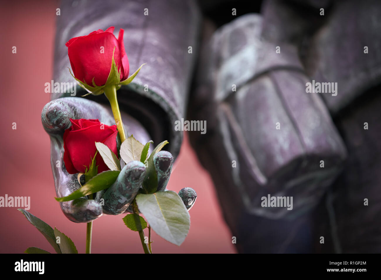 Close up Roses on Soldier Statue. Red roses on a close up of a statue ...