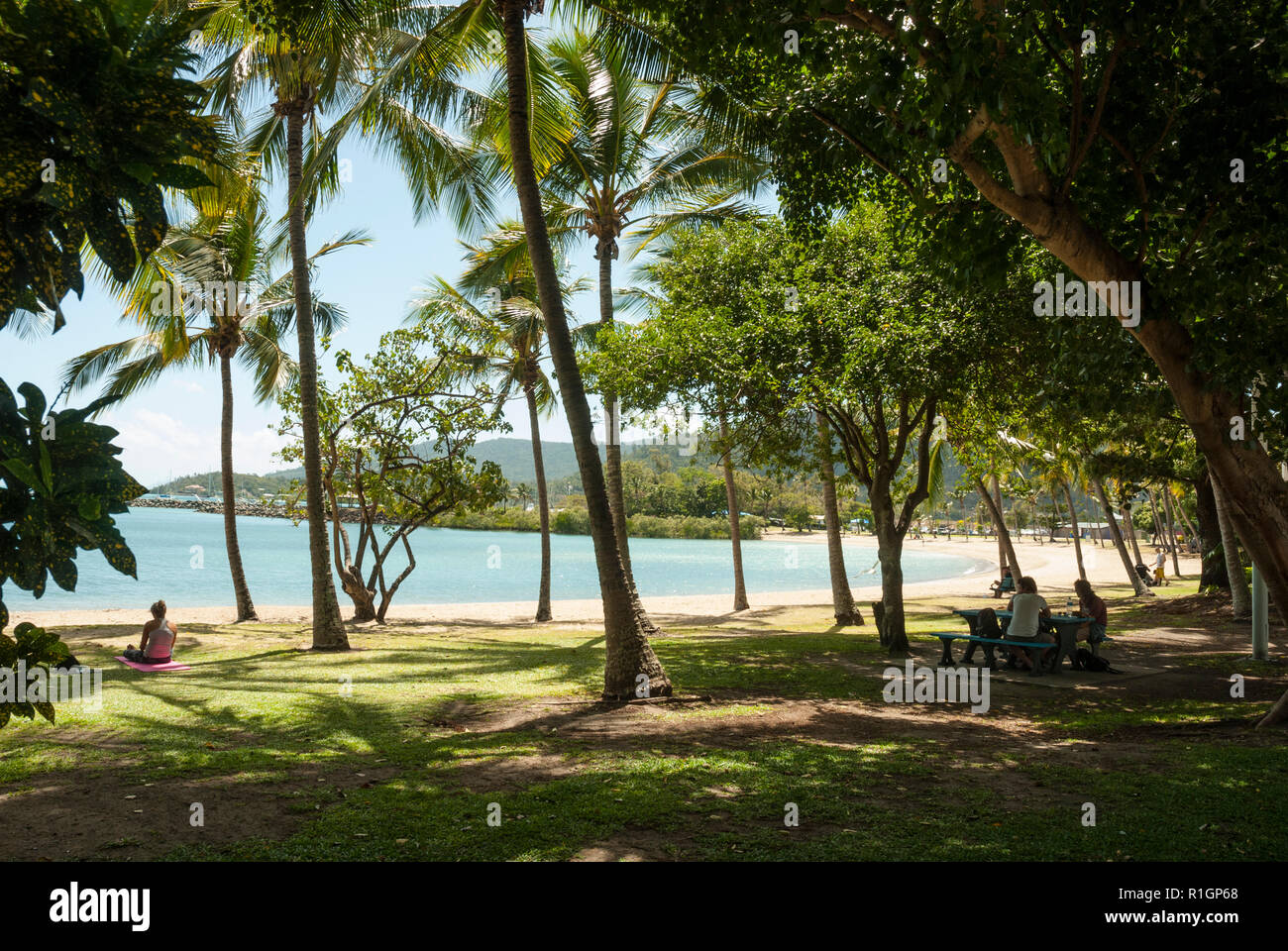 Sunbathing Under Palm Trees High Resolution Stock Photography and ...
