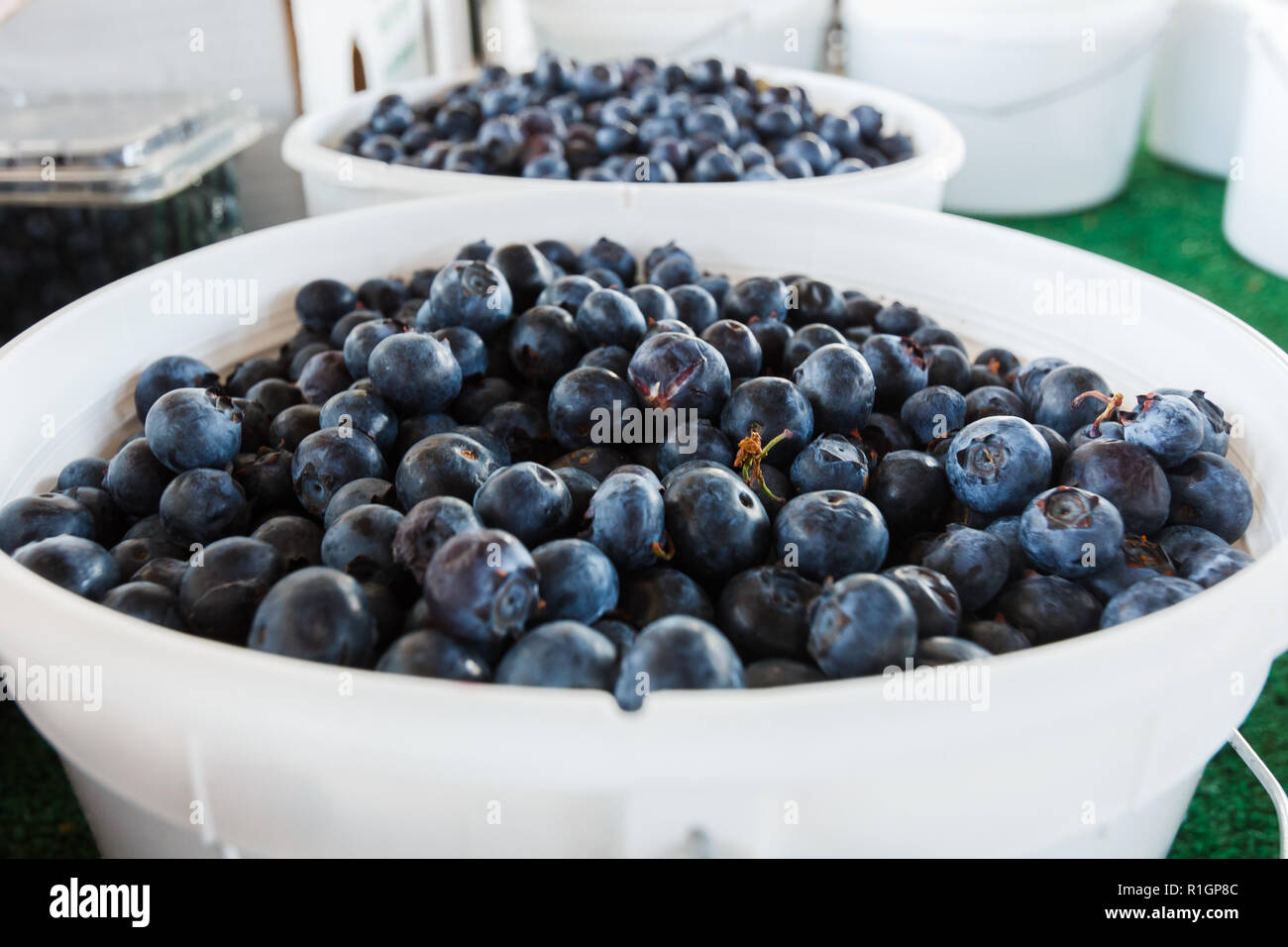 Farmers berries hi-res stock photography and images - Alamy