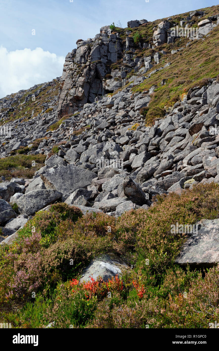 Granite Rock Falls, Chalamain Gap, Cairngorm Mountains, Scotland Stock ...