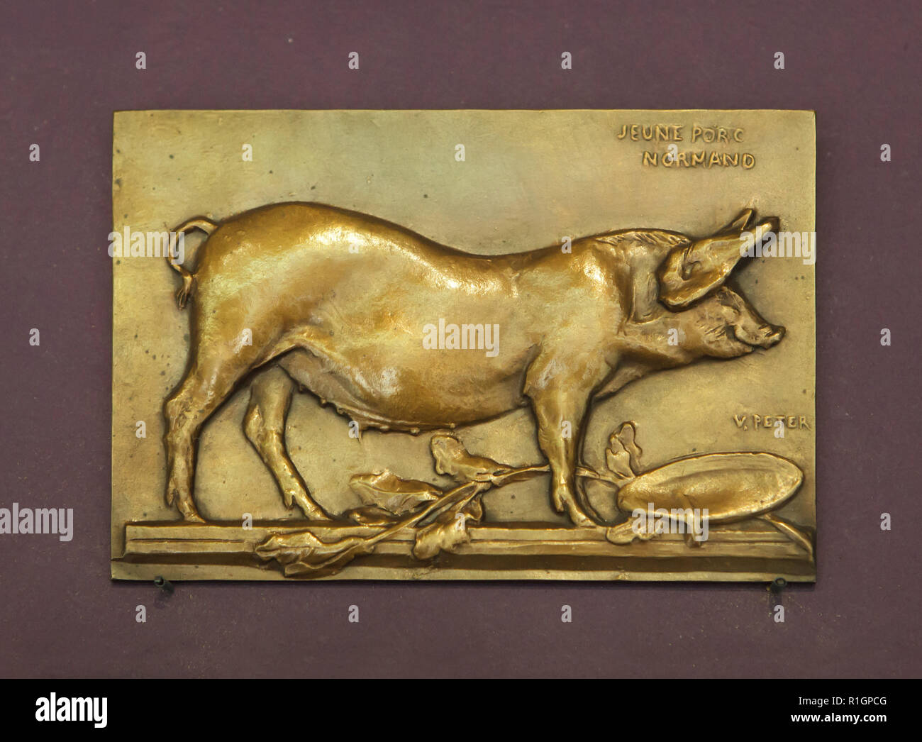 Sculptor animal hi-res stock photography and images - Alamy