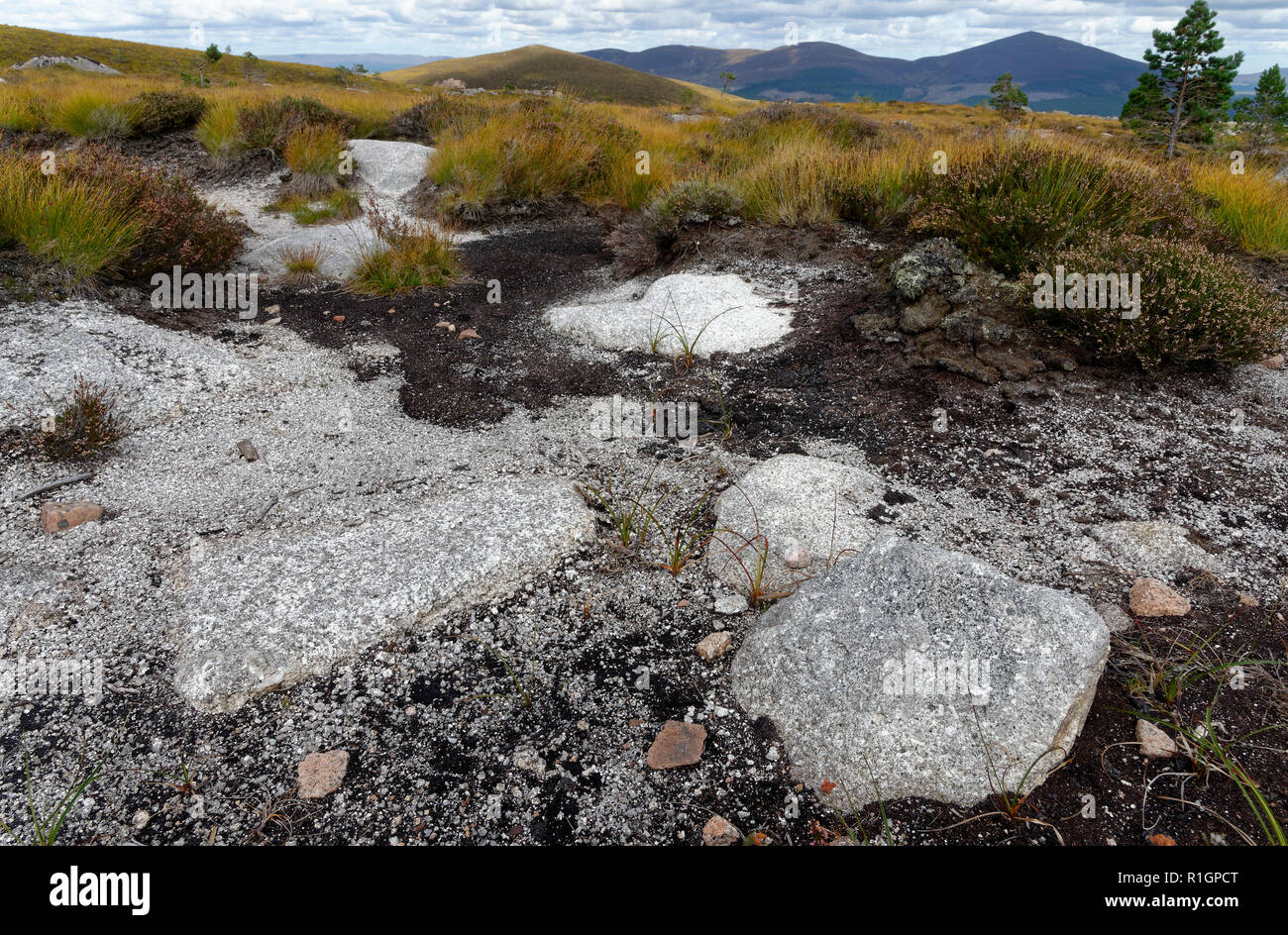 Eroded Peat Bog with Granite Gravel, Cairngorm Mountains, Scotland ...
