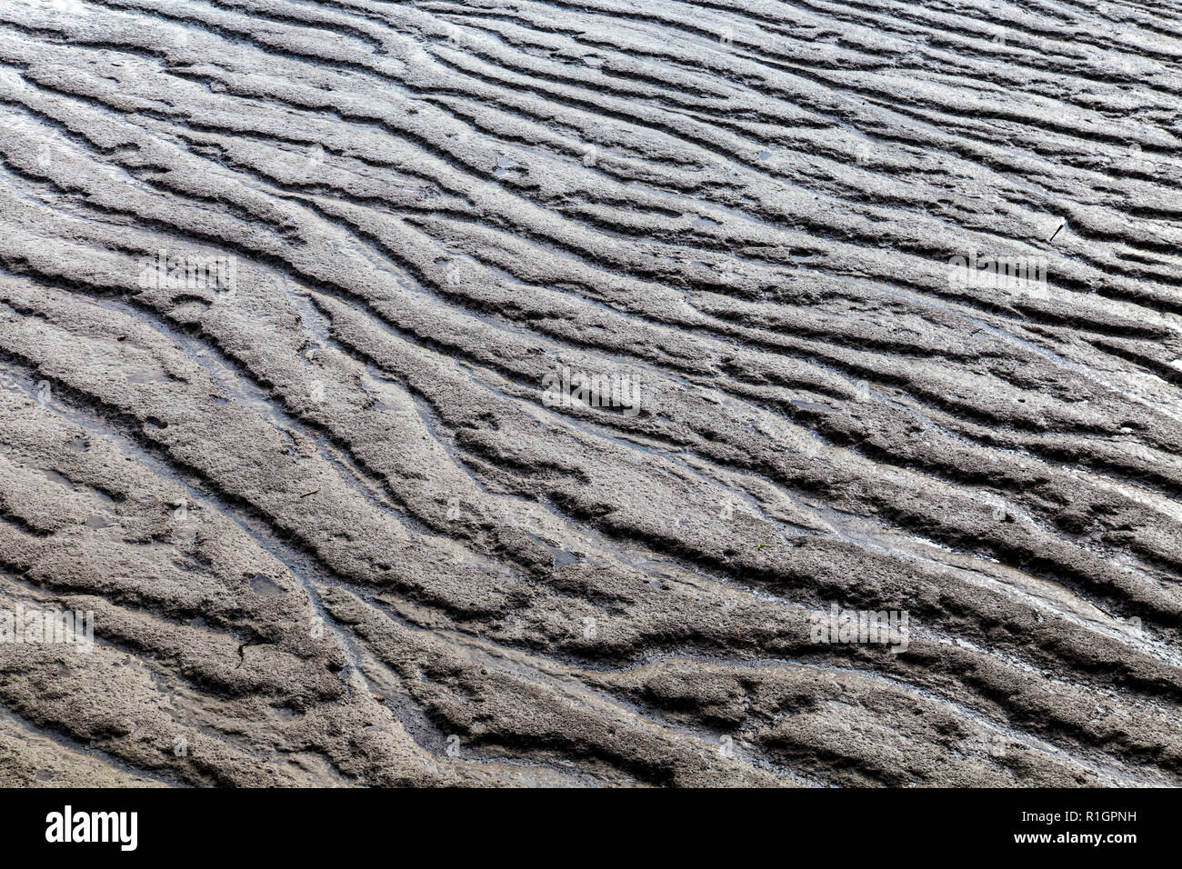 Low tide background hi-res stock photography and images - Alamy